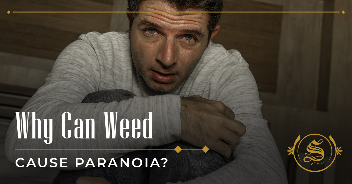 What Causes Weed Paranoia? 4 Sure-Fire Ways To Avoid It - The Sanctuary
