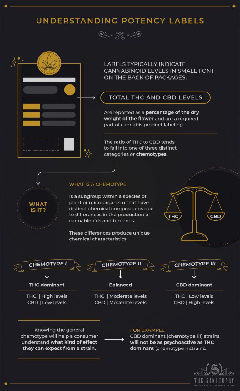 How Much THC Is In Weed? Understanding Potency Labels - The Sanctuary