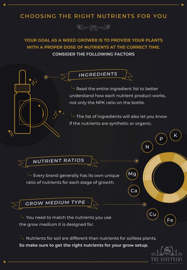 Cannabis Nutrients 101: Unlocking The Power Of Weed - The Sanctuary
