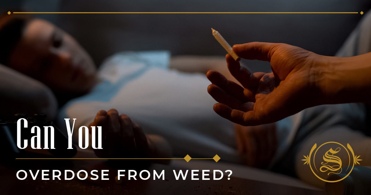 Can You Die From Weed? Risks Of Marijuana Overdosing - The Sanctuary