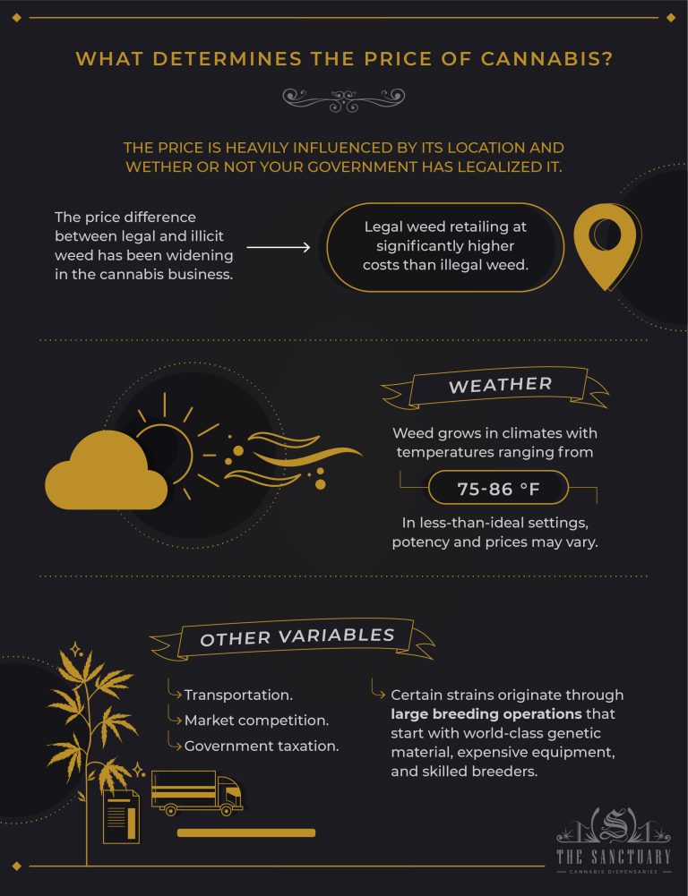 The Most Expensive Weed Strains For A Guaranteed High - The Sanctuary