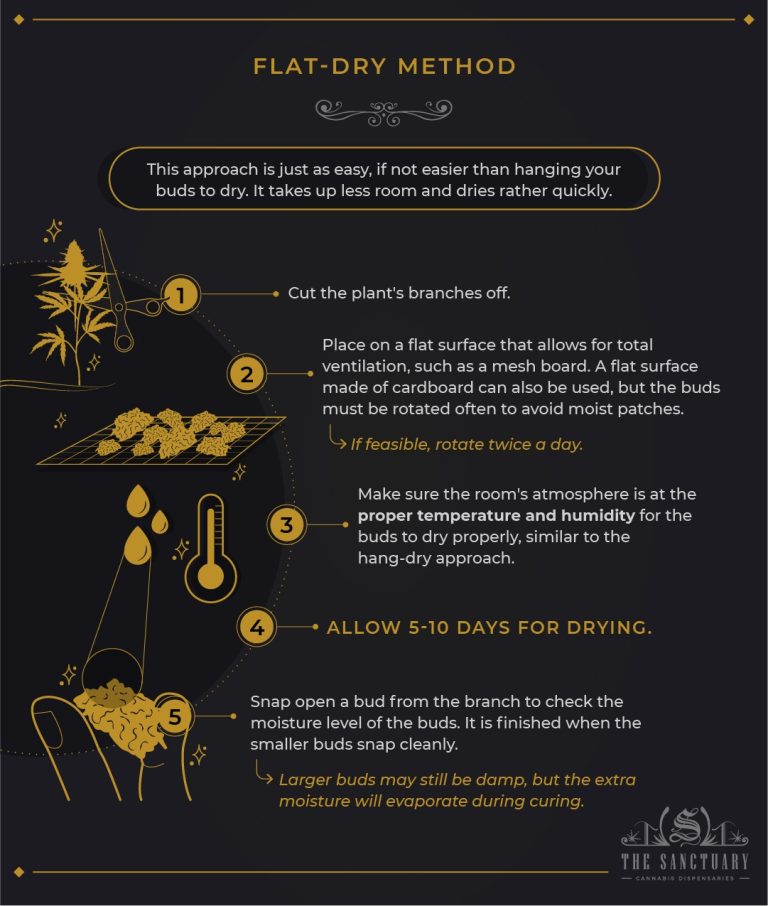 How To Dry Buds Without Hanging: Everything You Need To Know - The ...