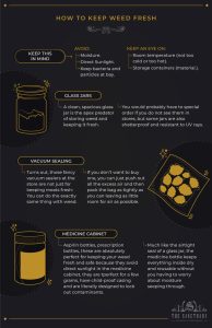 How To Keep Weed Fresh Throughout The Season - The Sanctuary