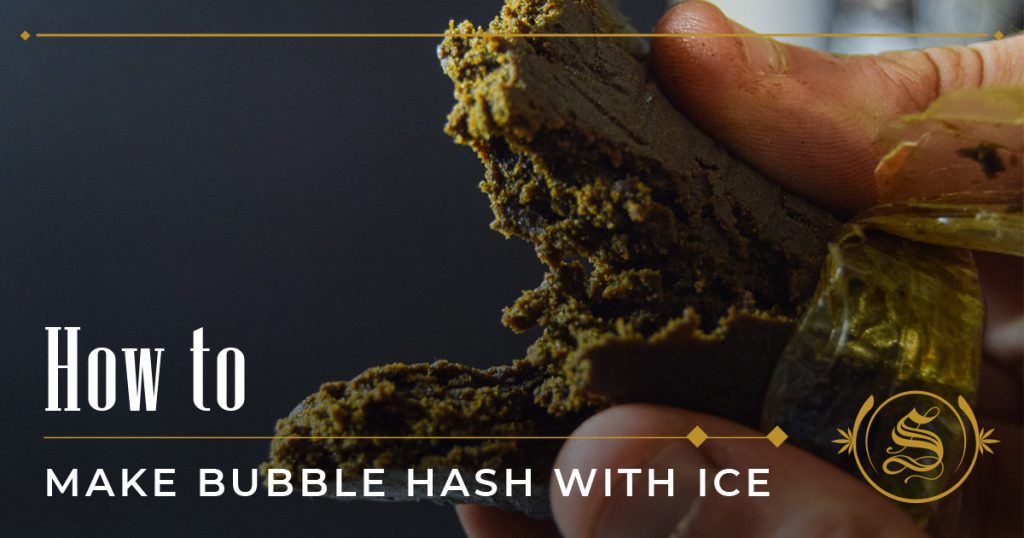 How To Make Hashish: Dry Sift, Bubble Hash, And Charas - The Sanctuary