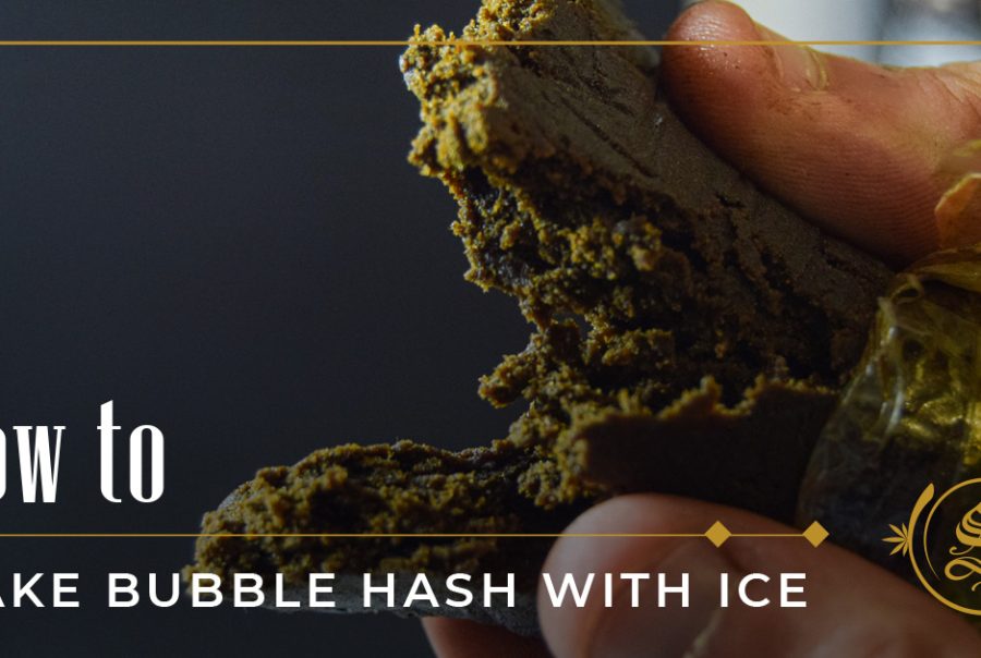 How To Smoke Hash The Right Way? Zero Cough, 100% Safety - The Sanctuary