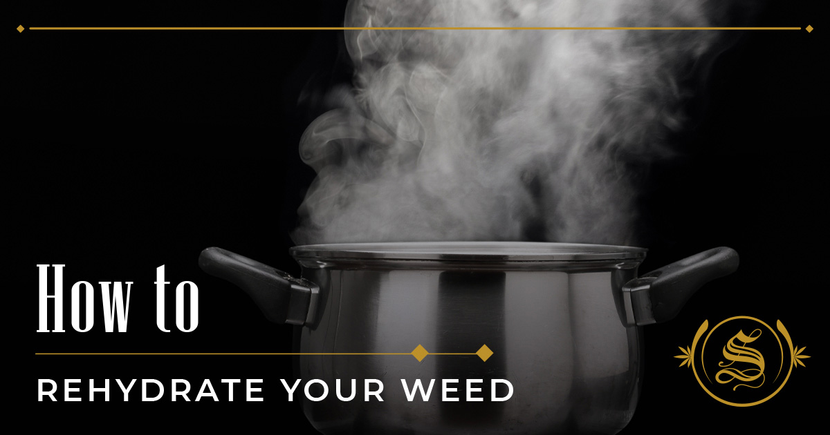 How To Rehydrate Weed: 4 Steps To Get The Best Weed - The Sanctuary
