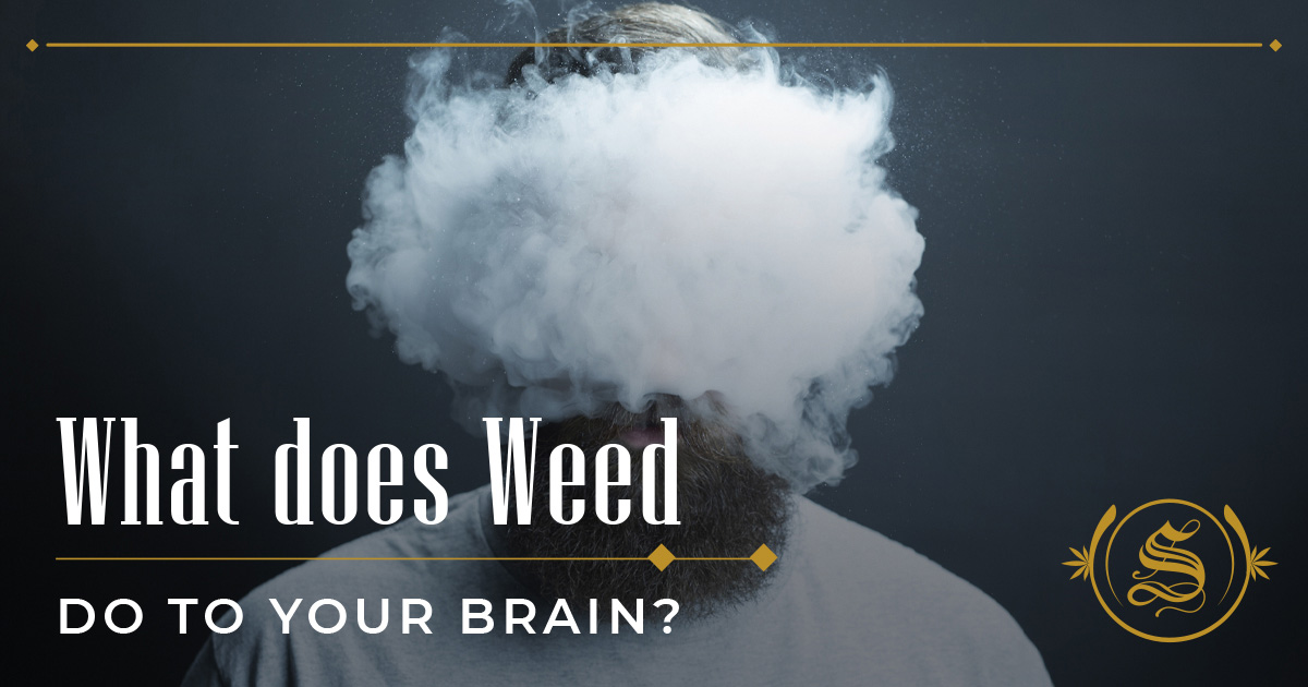 What Does Weed Do To Your Brain: Short Vs Long-Term Effects - The Sanctuary