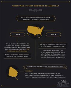 How Was Weed Discovered? Learn The History Today! - The Sanctuary