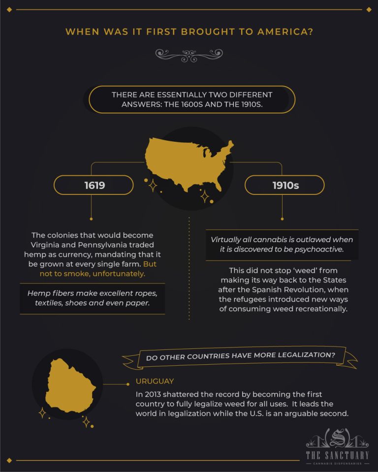 How Was Weed Discovered? Learn The History Today! - The Sanctuary