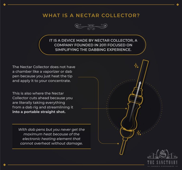 How To Use A Nectar Collector Weed: A Step-by-Step Guide - The Sanctuary