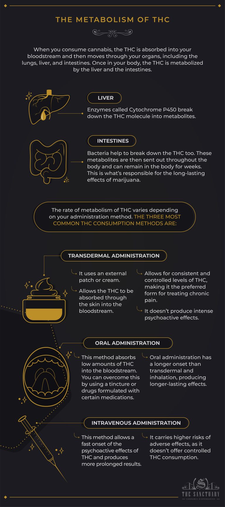 How Does THC Work? The Science You Need To Know - The Sanctuary