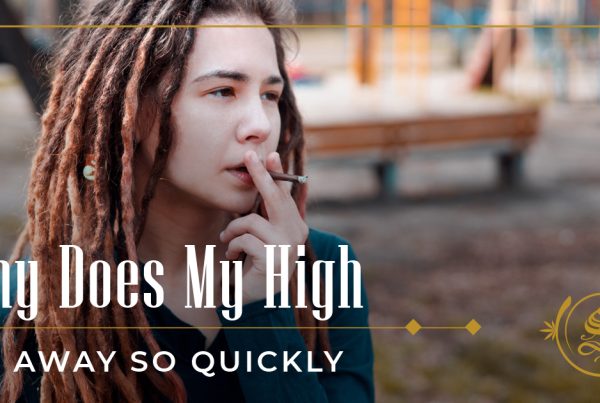 How To Avoid Acting High - The Sanctuary