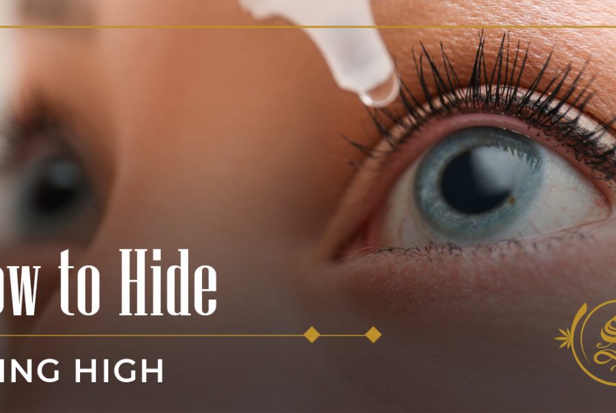 How To Cure Cannabis - The Sanctuary