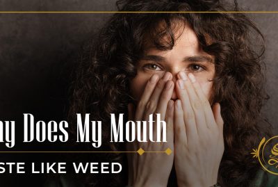 How To Dry Weed [Fast] - The Sanctuary