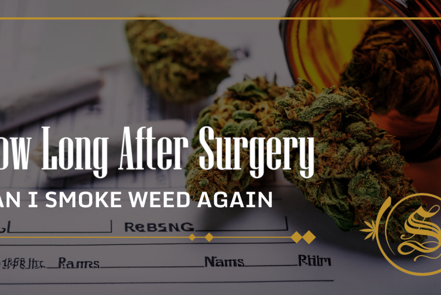 Weed Doesn't Get Me High: A Guide To Getting High Easily - The Sanctuary