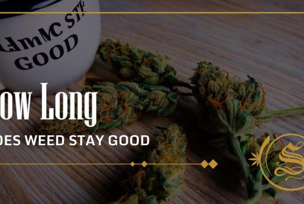 Why Does My Mouth Taste Like Weed? 6 Ways To Get Rid Of It - The Sanctuary