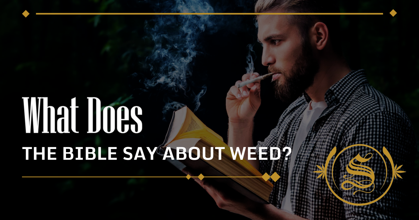 What Does The Bible Say About Weed? - The Sanctuary